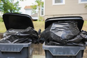 Waste Contamination | WasteVision AI